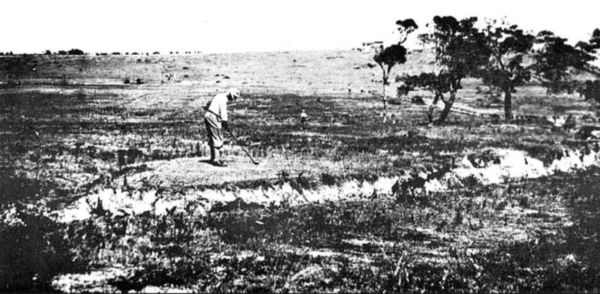 Home - Merewether Golf Club